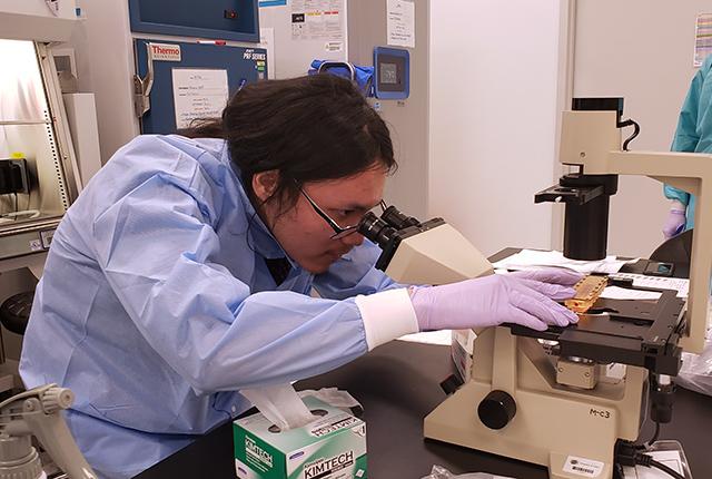 Heart tissue study to shuttle to Space Station - UW Medicine | Newsroom