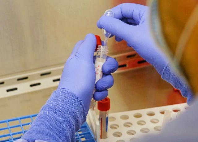 Fewer inpatients, but clinicians, lab techs on alert - UW Medicine ...