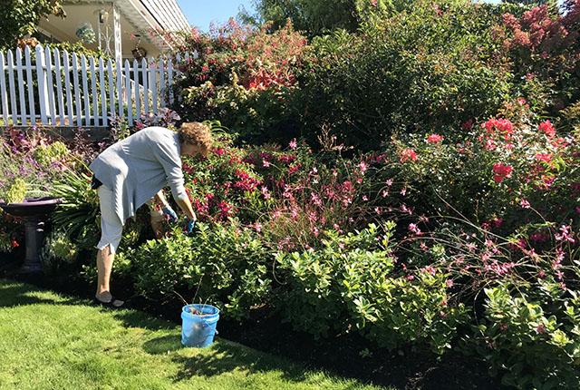 With osteoporosis, 'a fracture is a bone attack' - UW Medicine | Newsroom