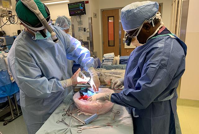 Rare transplant aims to resolve woman’s long bout of cancer - UW ...