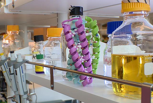 Controlling cell functions with a designed switch - UW Medicine | Newsroom